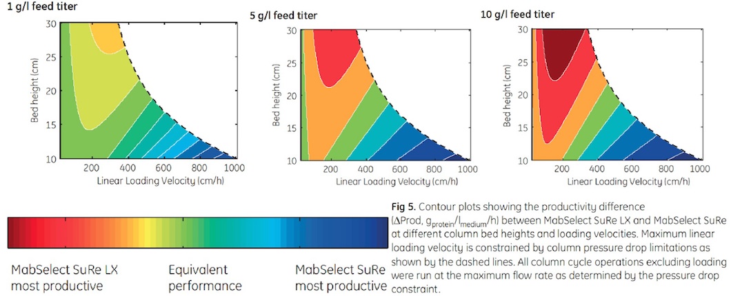 Dynamic binding capacity study on MabSelect SuRe™ LX for capturing high ...