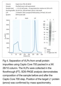 The Use of Capto™ Core 700 and Capto Q ImpRes in the Purification of ...