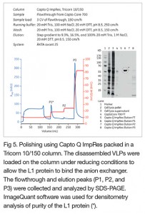 The Use of Capto™ Core 700 and Capto Q ImpRes in the Purification of ...