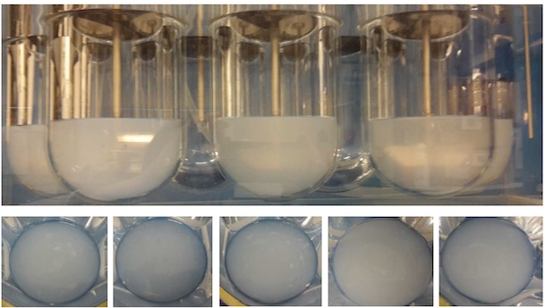 Lipid Based SMEDDS Formulation of Ibuprofen and Phenylephrine for Softgels